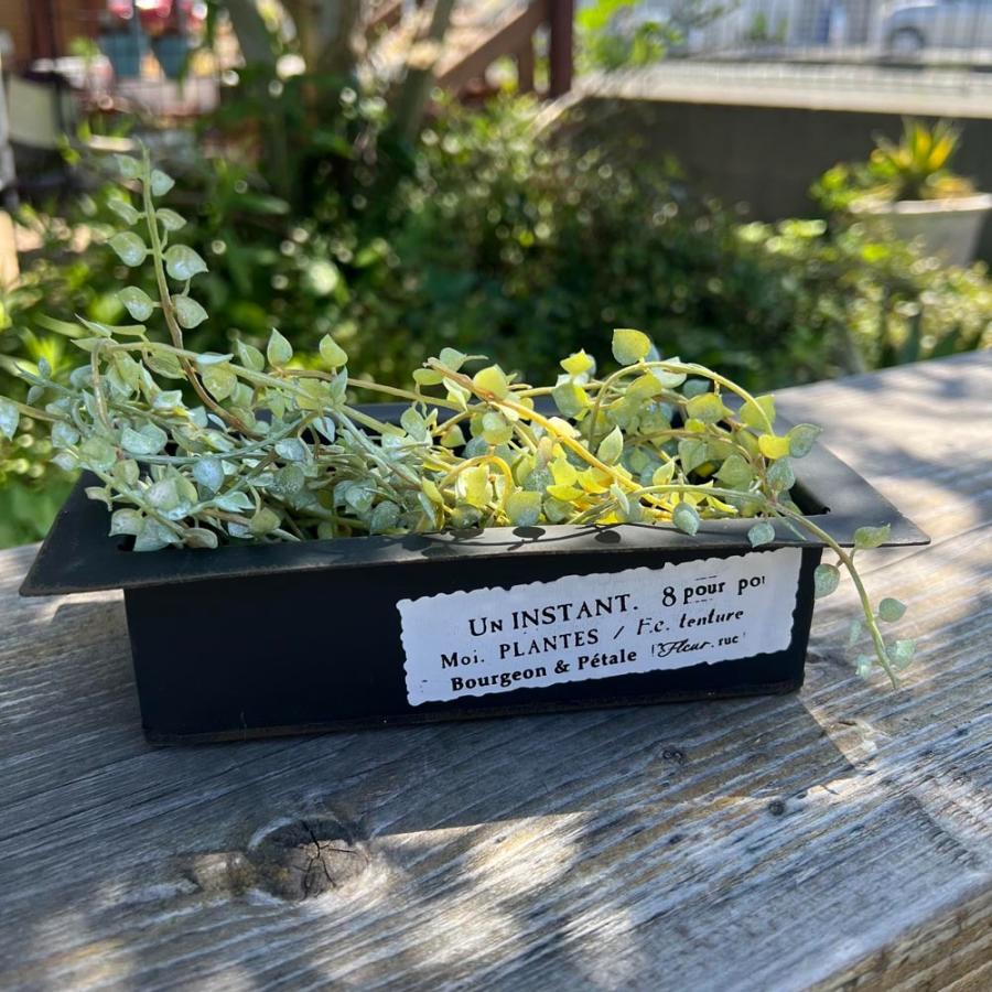 スクエアプランター ブラック(内径W15×7cm) アンスタンポットMB(MA2398）おしゃれ/屋外/穴あきプランター/ガーデニング/友膳/ : グリングリン - 通販 - Yahoo!ショッピング