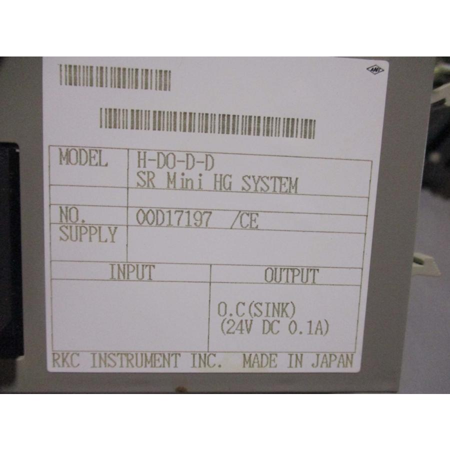中古 RKC SR MINI HG SYSTEM H-PCP-B-14N-M*AC/H-TIO-B-FK09-V*NN*6/H-DO-D-D*2/H-CT-A-P/CE*2 ...