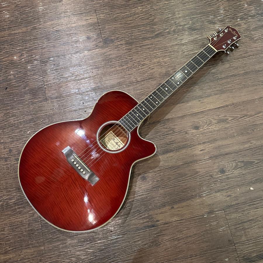 Pro Martin EA500W Acoustic Guitar エレクトリック アコースティックギター -d086 : GrunSound ...