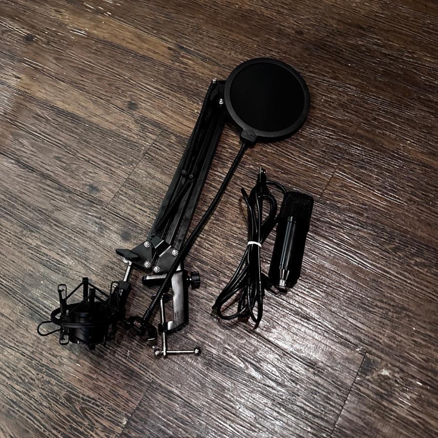 単一指向性コンデンサーマイク USBマイク Condenser Microphone -e020 : e020k231226 ...