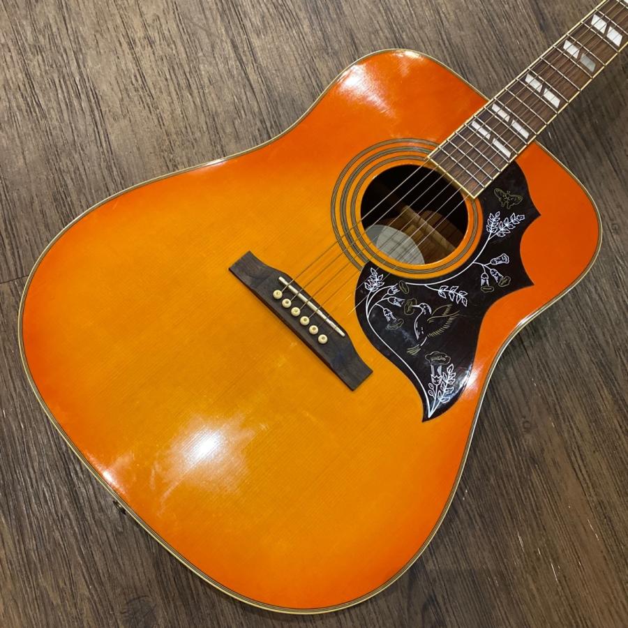 Epiphone Humming bird PRO FC エピフォン アコースティックギター -GrunSound-x248- : GrunSound Yahoo!店 - 通販 - Yahoo ...