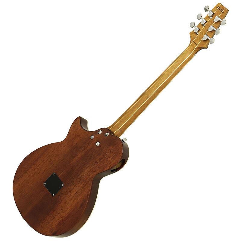 ARIA（楽器） Aria APE-100 N (Natural)《エレアコ》 : ギタープラネット Yahoo!ショップ - 通販 - Yahoo!ショッピング