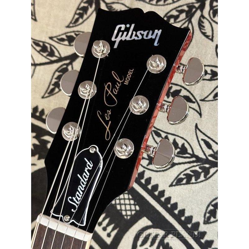 Gibson ~Exclusive Model~ Les Paul Standard 60s -Tomato Soup Burst-【#233130329】【4.21kg】新品《エレキギター ...