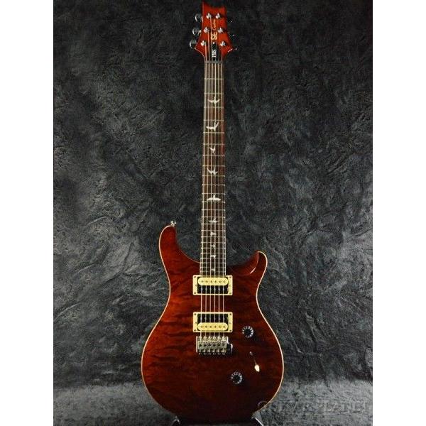 Paul Reed Smith SE Custom 24 with Birds & Beveled Maple Top Tortoise ...