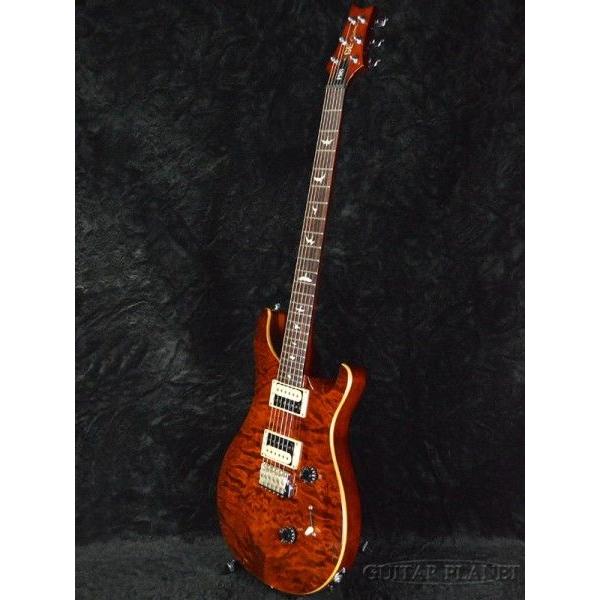 Paul Reed Smith SE Custom 24 with Birds & Beveled Maple Top Tortoise ...