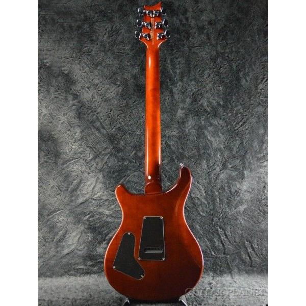 Paul Reed Smith SE Custom 24 with Birds & Beveled Maple Top Tortoise ...