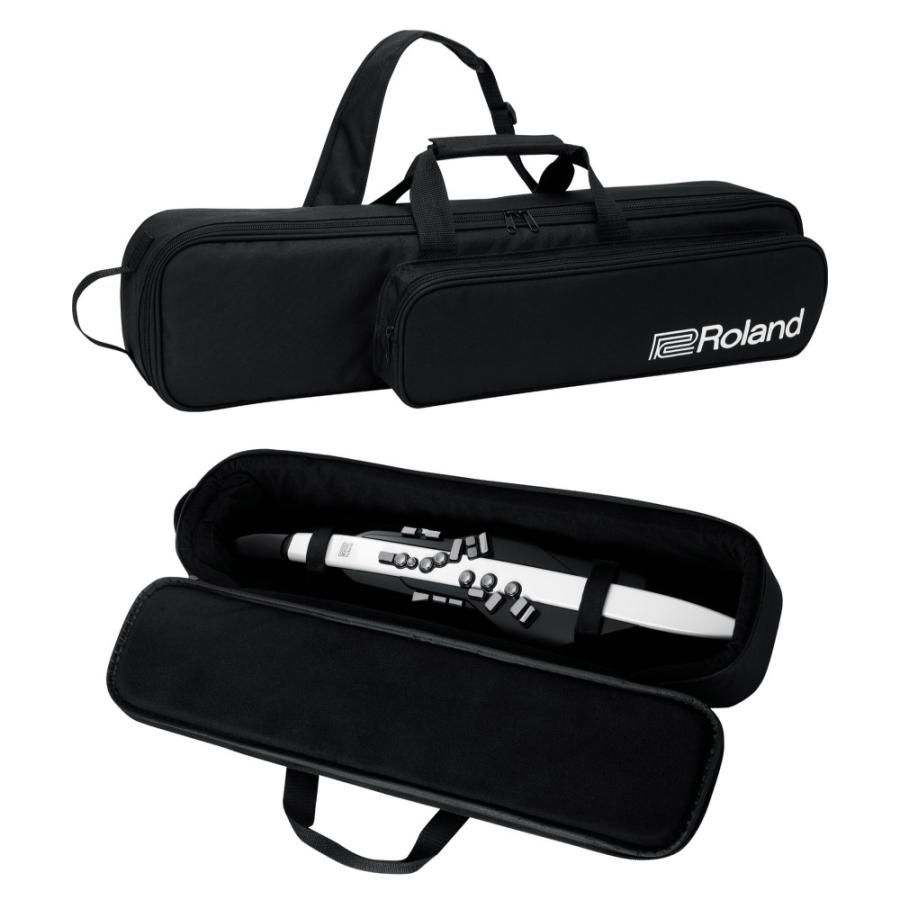 ローランド（Roland） Roland Aerophone AE-20 │ WIND INSTRUMENTS : ギタープラネット ...