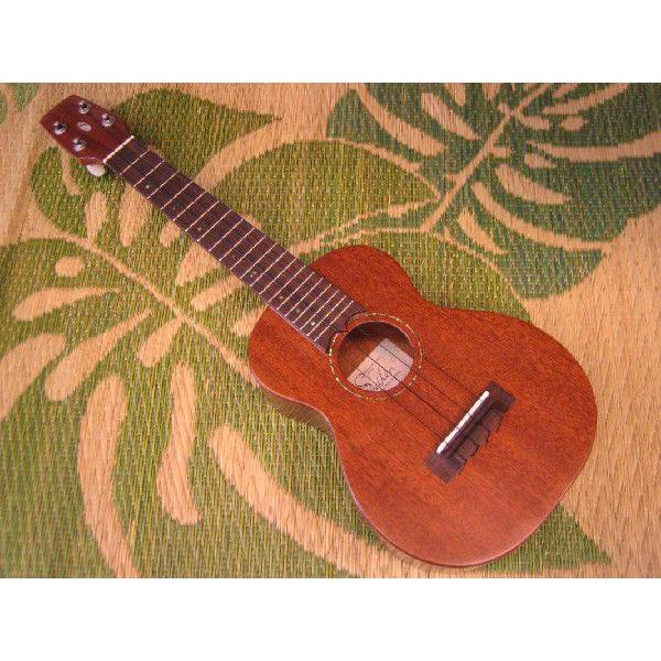 Seilen SLC-102 Vm コンサートウクレレ 《ウクレレ》 : ギタープラネット Yahoo!ショップ - 通販 - Yahoo ...