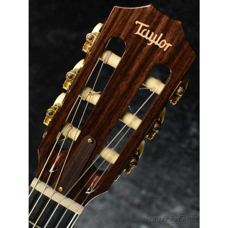 Taylor Taylor Jason Mraz Signature Model (JMSM-NS) 新品《エレガット》 : ギタープラネット ...