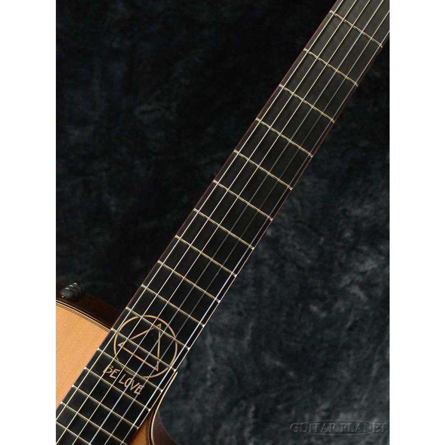 Taylor Taylor Jason Mraz Signature Model (JMSM-NS) 新品《エレガット》 : ギタープラネット ...