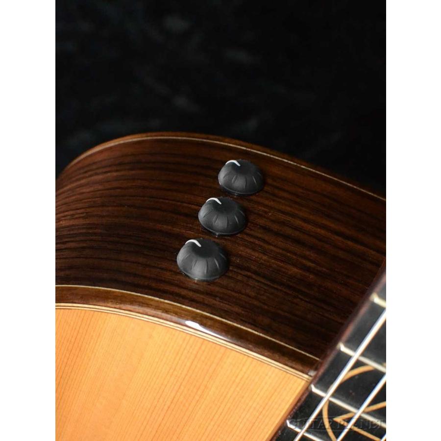 Taylor Taylor Jason Mraz Signature Model (JMSM-NS) 新品《エレガット》 : ギタープラネット ...