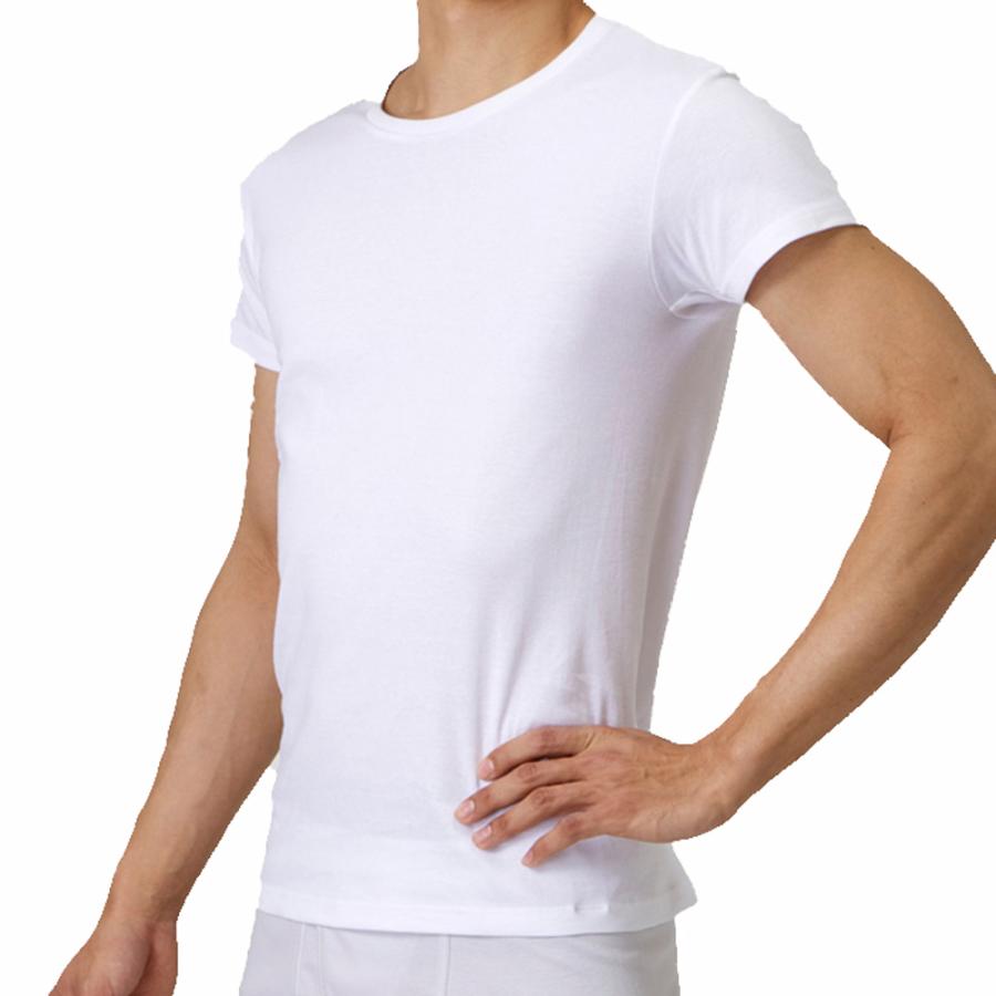 大きいサイズ 半袖丸首シャツ 2枚セット 激的消臭 在庫処分！綿100％ 3L・4L・5L・6L 8508K2 : インナータウン - 通販 - Yahoo!ショッピング