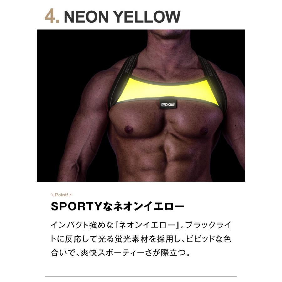 GX3/ジーバイスリー GLOSS NEON ハーネス : k2207 : GX3 - 通販 - Yahoo!ショッピング