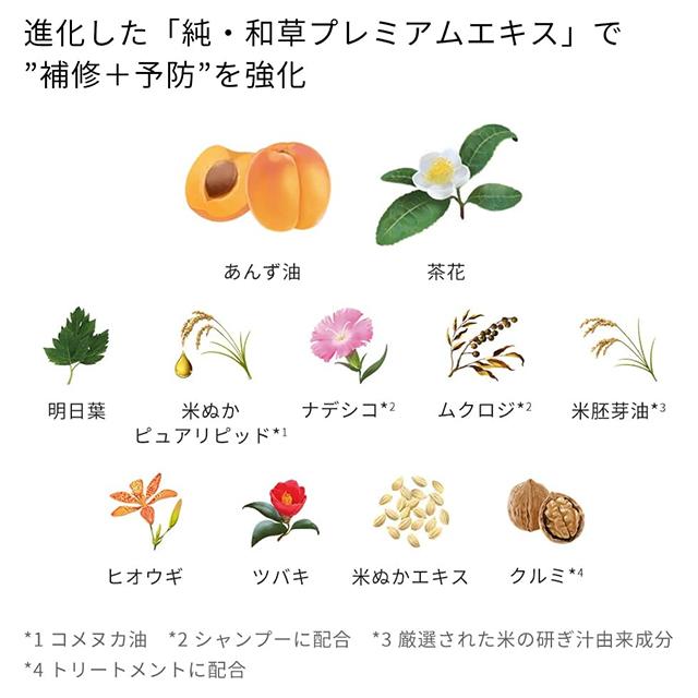 Kracie 【2個セット】【本体＋詰替セット】いち髪 濃密W保湿ケアシャンプー ポンプ 480g 詰替用 330g ヘアケア ダメージケア 補修 予防 美髪 艶 つや モイスト sh01 ...