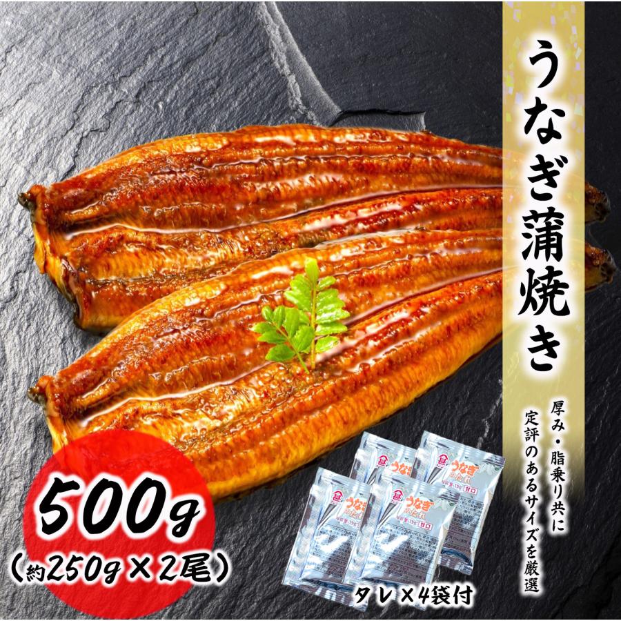 クーポンで最大15,000円OFF うなぎ蒲焼 タレ付き 2尾セット（約440g） 約220g/1尾 ウナギ 鰻 うな重うなぎ うなぎ 真空パック 土用の丑 ひつまぶし : 海鮮問屋もとや ...
