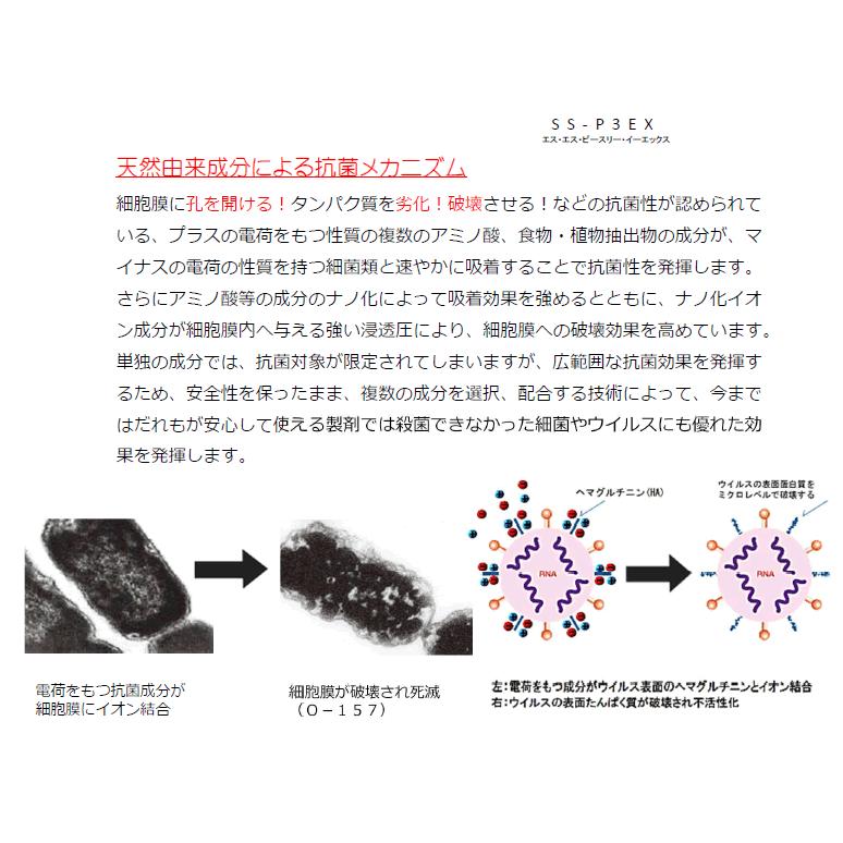 SS-P3EXせいけつさんスプレー 250ml : ぎょゆうヤフー店 - 通販 - Yahoo!ショッピング