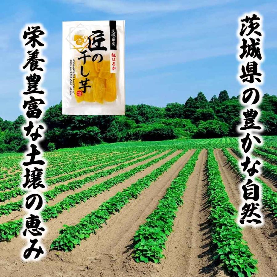 茨城県産 紅はるか 匠の干し芋 750g （150g×5） 国産 サツマイモ おやつ お取り寄せ 厳選 ギフト ほしいも スイーツ 健康 「匠の干し芋」 JC : 美味しさギュ!ここだけ ...