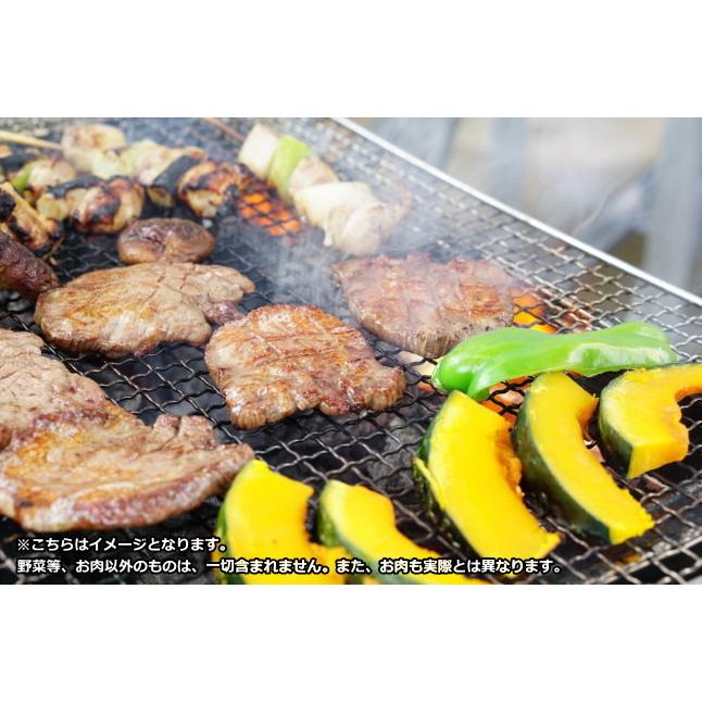 A4 A5 黒毛 和牛 未経産 メス牛 ささ身カルビ・豚トロ BBQセット 2.4Kg :BBQ-sasami-tontoro-24:はいばら福寿館本店 - 通販 - Yahoo!ショッピング