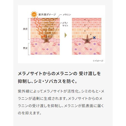 HABA ハーバー公式 薬用ホワイト＆リンクルセラム (20g) 送料無料 (部分用美容液) 【限定品】 : HABAハーバー公式Yahoo!店 - 通販 - Yahoo!ショッピング