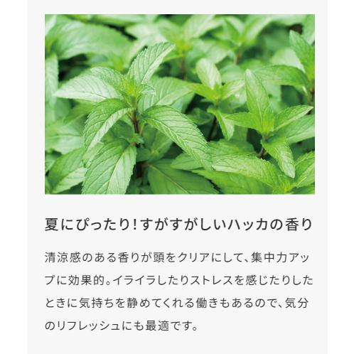 HABA ハーバー公式 北のかおり ハッカ石けん (洗顔・全身用石けん)【限定品】 : HABAハーバー公式Yahoo!店 - 通販 - Yahoo!ショッピング