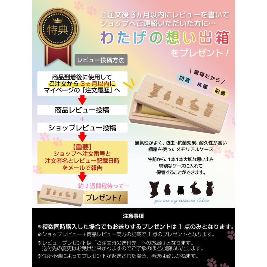 ペット 仏壇 祭壇 セット ペット用仏壇 BOX型 メモリアル ペット 仏壇 祭壇 セット ペット用仏壇 BOX型 メモリアル
