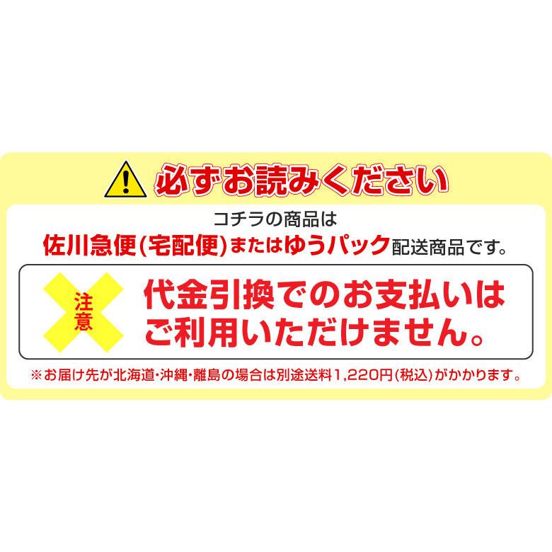 Bluetooth5.3 スピーカー ワイヤレス Bluetooth ポータブル 10時間再生 ネオン 小型 LED 高音質 コンパクト MP3 microSD : 発掘市場 - 通販 ...