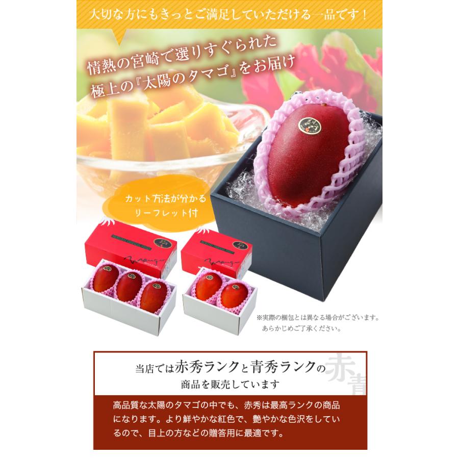 マンゴー 太陽のタマゴ 青秀 3L 450g以上 1玉 JA宮崎経済連 宮崎県産 完熟マンゴー 太陽のたまご ギフト お取り寄せグルメ : はちやフルーツ - 通販 - Yahoo!ショッピング