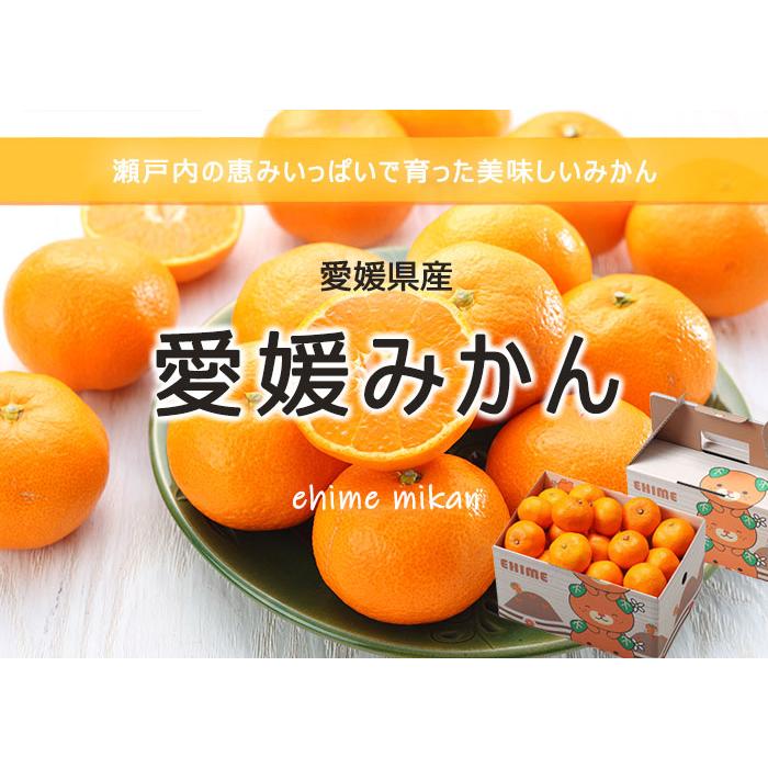 みかん 愛媛みかん 秀品 2L〜2Sサイズ 5kg 愛媛県産 ミカン 蜜柑 ギフト : はちやフルーツ - 通販 - Yahoo!ショッピング