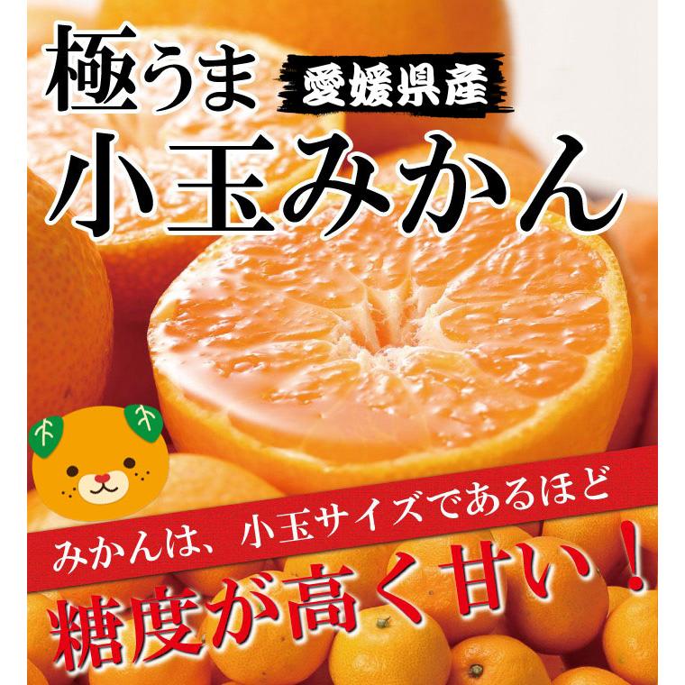 みかん 極旨小玉みかん 中島便り S〜3Sサイズ 5kg 糖度12度以上 愛媛県産 ミカン 蜜柑 ギフト : はちやフルーツ - 通販 - Yahoo!ショッピング