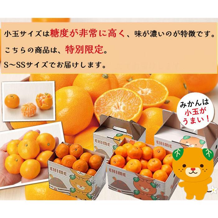 みかん 極旨小玉みかん 中島便り S〜3Sサイズ 5kg 糖度12度以上 愛媛県産 ミカン 蜜柑 ギフト : はちやフルーツ - 通販 - Yahoo!ショッピング