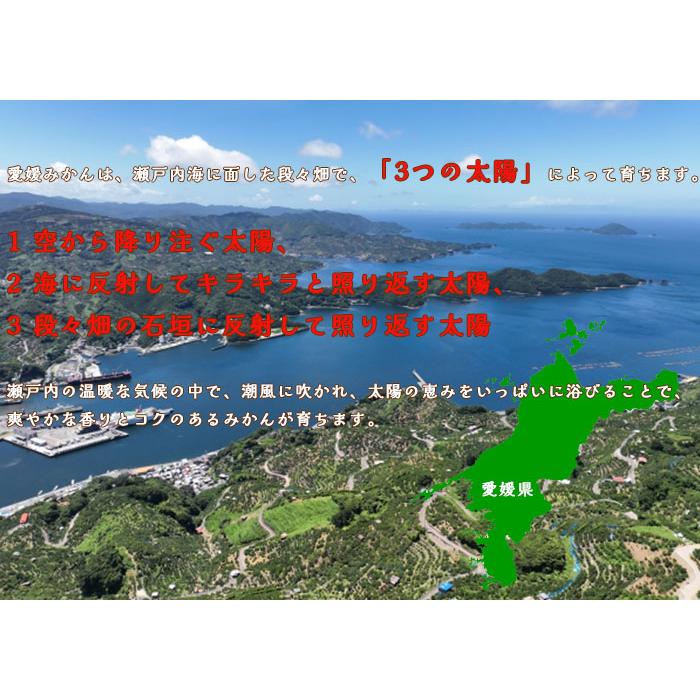 みかん 極旨小玉みかん 中島便り S〜3Sサイズ 5kg 糖度12度以上 愛媛県産 ミカン 蜜柑 ギフト : はちやフルーツ - 通販 - Yahoo!ショッピング