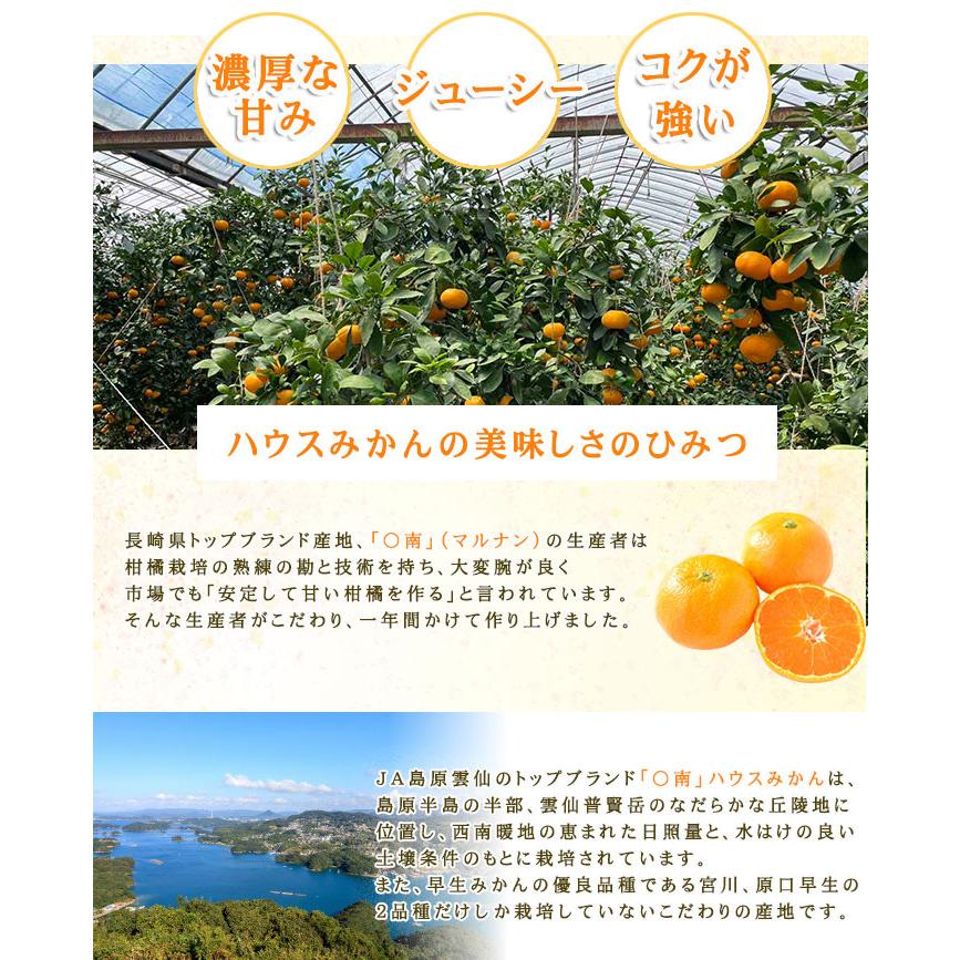 お中元 みかん 〇南 ハウスみかん 赤秀 2L〜2Sサイズ 3kg 長崎県産 JA島原雲仙 マルナン 蜜柑 ミカン : はちやフルーツ - 通販 - Yahoo!ショッピング