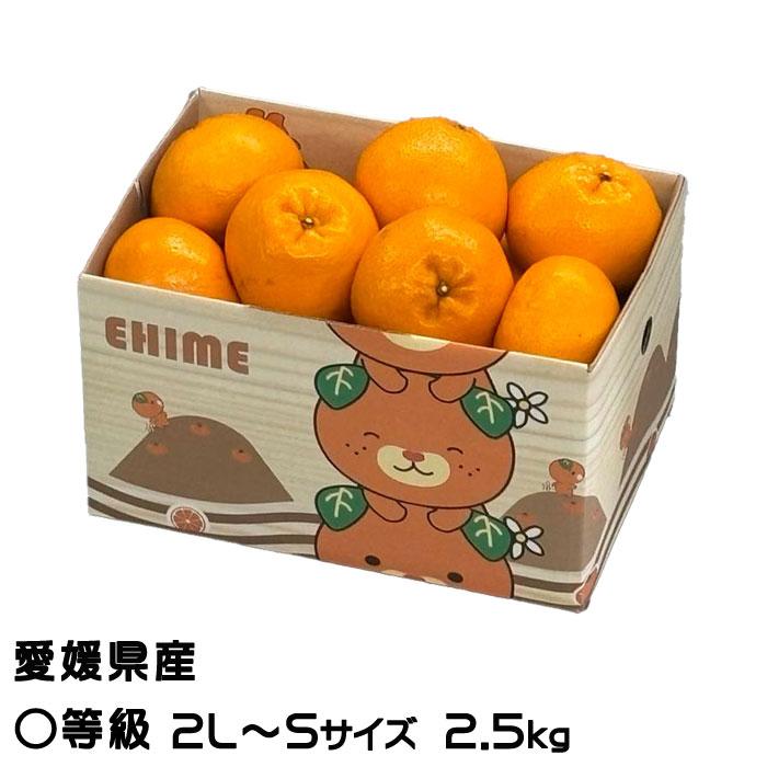 みかん はるみ 〇等級 2L〜Sサイズ 2.5kg 愛媛県 JAえひめ中央 中島産 : はちやフルーツ - 通販 - Yahoo!ショッピング