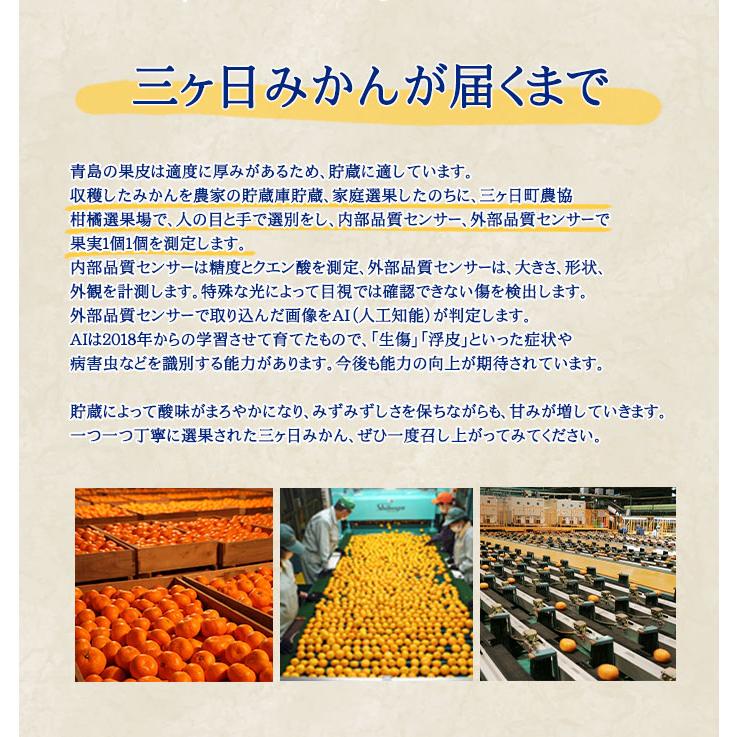 みかん 三ヶ日みかん 秀品 大〜2Lサイズ 7kg 静岡県産 JAみっかび ミカン 蜜柑 ギフト : はちやフルーツ - 通販 - Yahoo!ショッピング