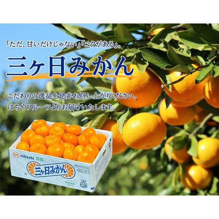 みかん 三ヶ日みかん 優品 大〜2Lサイズ 7kg 静岡県産 JAみっかび ミカン 蜜柑 ギフト : はちやフルーツ - 通販 - Yahoo!ショッピング
