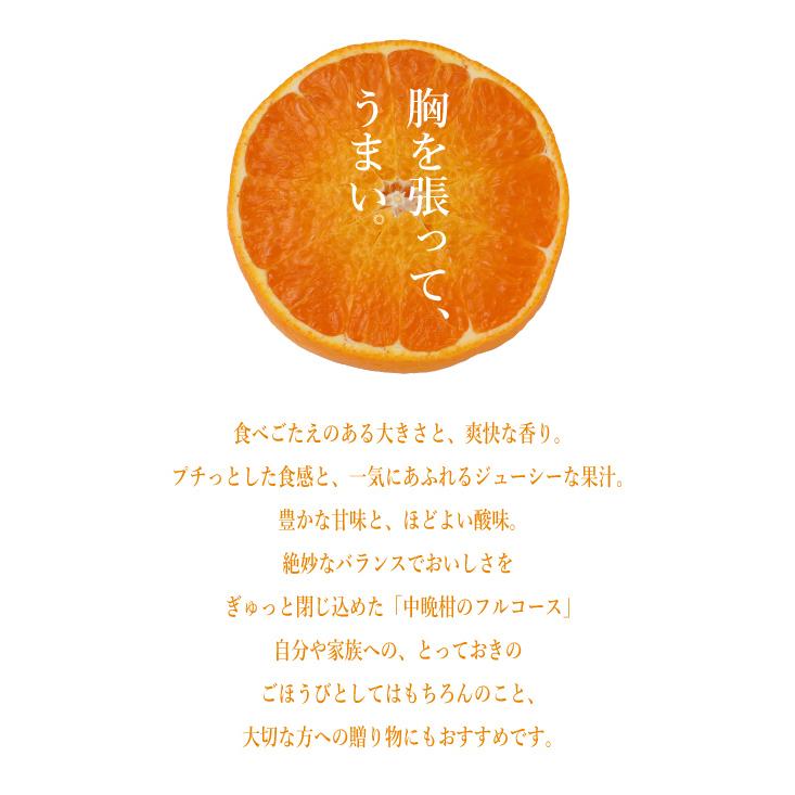 みかん にじゅうまる 秀品 7〜15玉 3kg JAグループ佐賀 ギフト :njm007:はちやフルーツ - 通販 - Yahoo!ショッピング