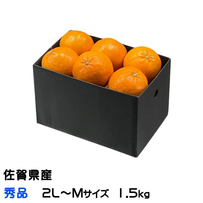 みかん にじゅうまる 秀品 2L〜Mサイズ 1.5kg JAグループ佐賀 ギフト : はちやフルーツ - 通販 - Yahoo!ショッピング