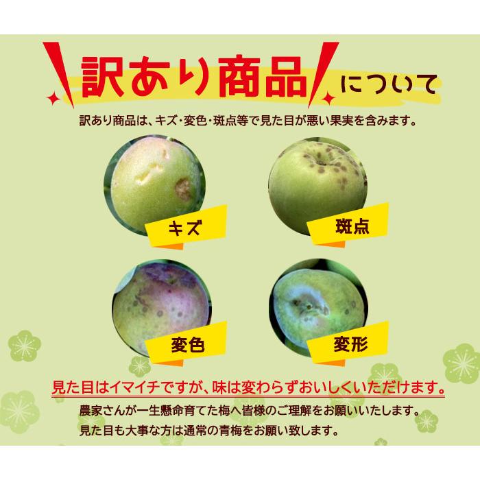 梅 紀州 南高梅 和歌山県産 風のいたずら ★4L〜3Lサイズ 3kg うめ 生梅 : はちやフルーツ - 通販 - Yahoo!ショッピング