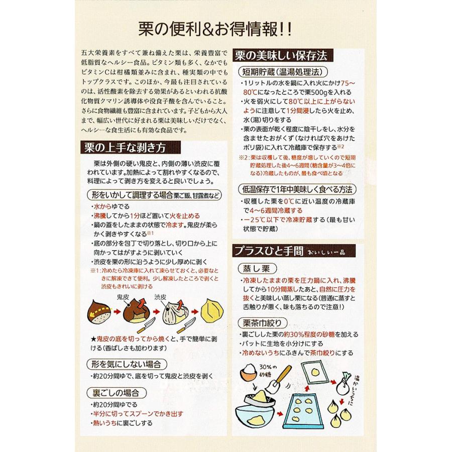 栗 中山栗 生栗 4L〜Lサイズ 3kg 愛媛県産 JAえひめ中央 くり クリ : はちやフルーツ - 通販 - Yahoo!ショッピング