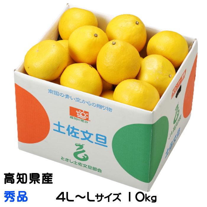 ぶんたん 土佐文旦 秀品 4L〜L 10kg 高知県産 JA高知県 ブンタン とさぶんたん トサブンタン : はちやフルーツ - 通販 - Yahoo!ショッピング