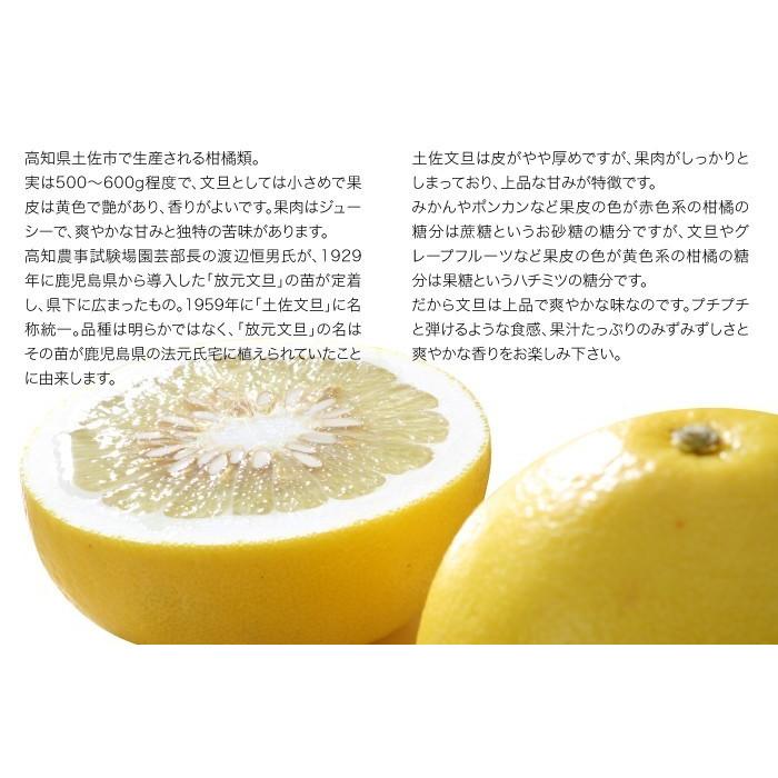 ぶんたん 土佐文旦 秀品 4L〜L 10kg 高知県産 JA高知市 ブンタン とさぶんたん トサブンタン :tbt013:はちやフルーツ - 通販 - Yahoo!ショッピング