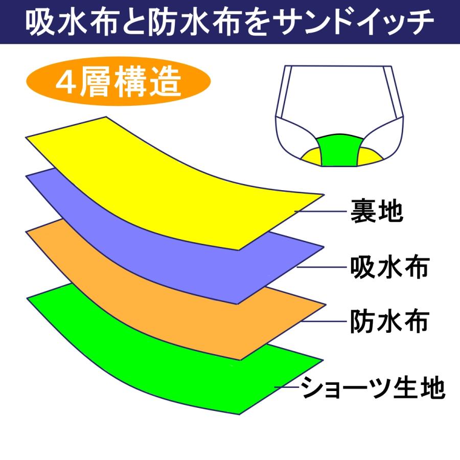 尿漏れパンツ スキンケア加工保湿 パッド付き 失禁ショーツ 15cc 吸水ショーツ おしゃれな レース付き 深履き : 肌着館わかば - 通販 - Yahoo!ショッピング