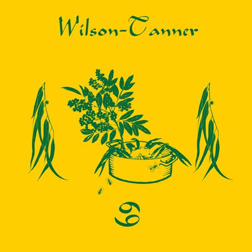 WILSON TANNER / 69 (LP) : 北欧雑貨と音楽 HAFEN ハーフェン - 通販 - Yahoo!ショッピング