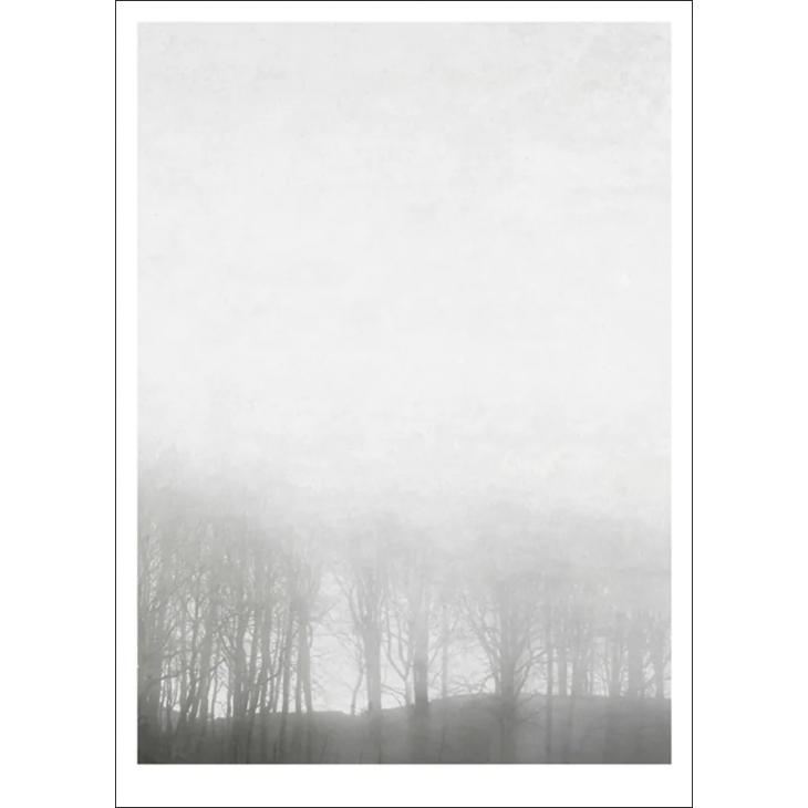 Ingrey Studio | Morning Fog 30x40cm アートプリント/アートポスター 北欧 デンマーク 写真 風景 : 北欧 ...