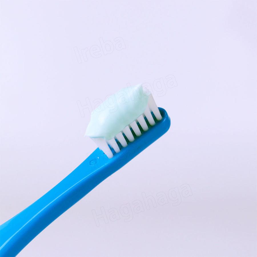 システマ ライオン Lion ハグキプラス EX 90g 薬用 Systema Haguki Plus : はがはがでドットコム - 通販 - Yahoo!ショッピング