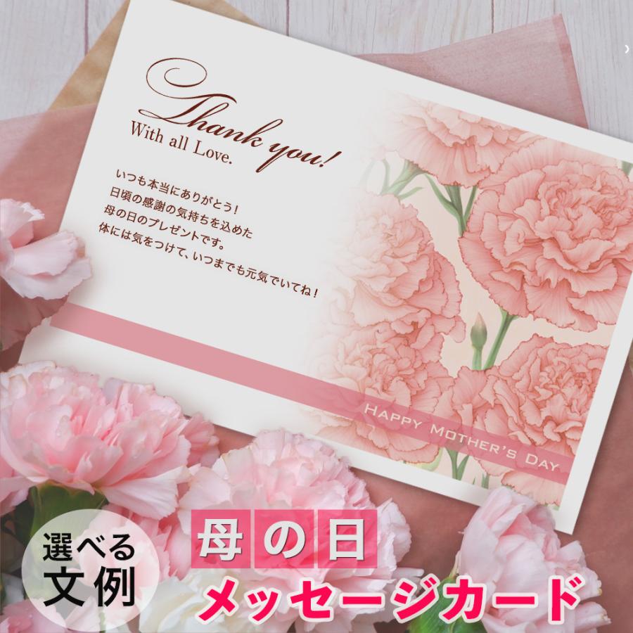 母の日 メッセージカード 1枚 はがきサイズ 選べる例文 HAM-01 : ham-01 : ハガキストア - 通販 - Yahoo!ショッピング