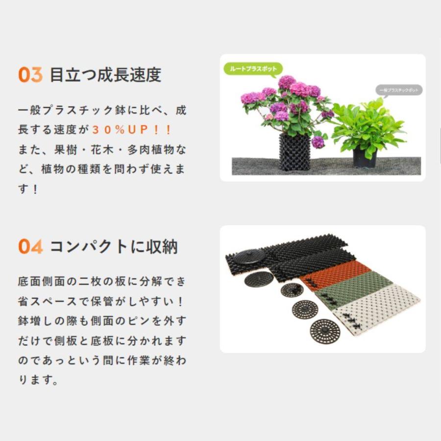 RootPlus 20cmタイプ 植木鉢 小型 | 7号 プランター 根腐れ ルーピング防止 軽い おしゃれ インテリア ルートプラスポット 南榮工業 : 萩原工業Yahoo!ショップ ...