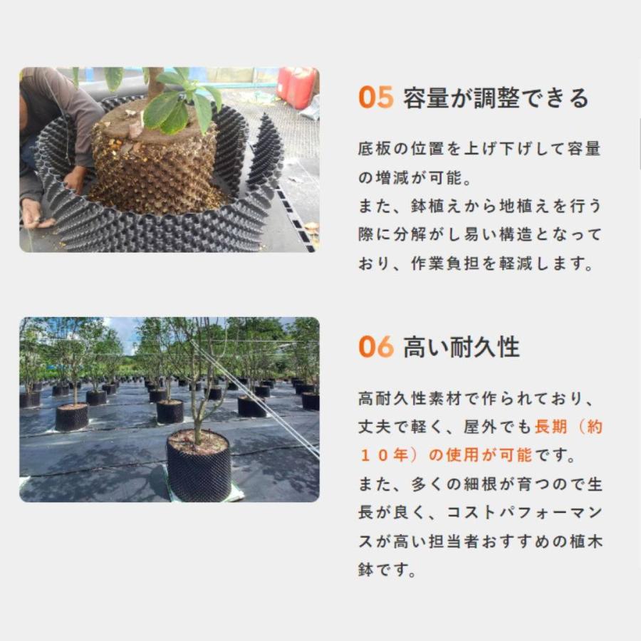 RootPlus 20cmタイプ 植木鉢 小型 | 7号 プランター 根腐れ ルーピング防止 軽い おしゃれ インテリア ルートプラスポット 南榮工業 : 萩原工業Yahoo!ショップ ...