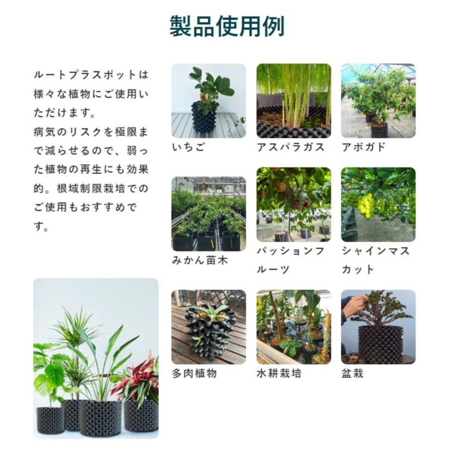 RootPlus 20cmタイプ 植木鉢 小型 | 7号 プランター 根腐れ ルーピング防止 軽い おしゃれ インテリア ルートプラスポット 南榮工業 : 萩原工業Yahoo!ショップ ...