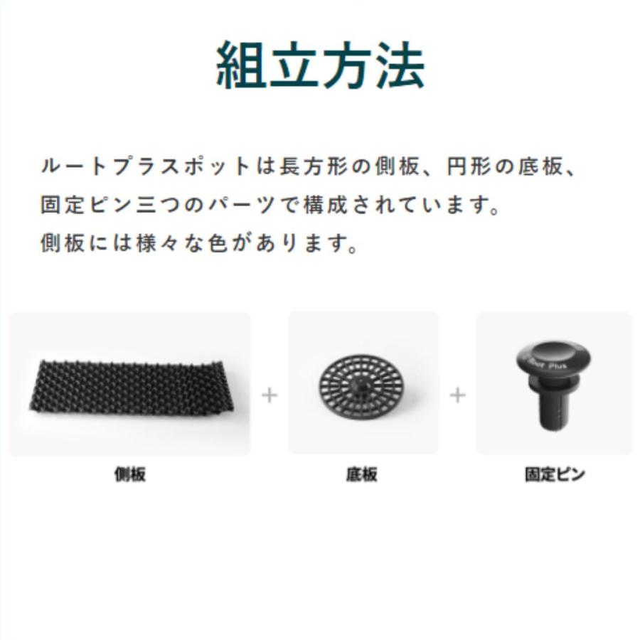 RootPlus 30cmタイプ 植木鉢 小型 | 10号 プランター 根腐れ ルーピング防止 軽い おしゃれ インテリア ルートプラスポット 南榮工業 : 萩原工業Yahoo!ショップ ...